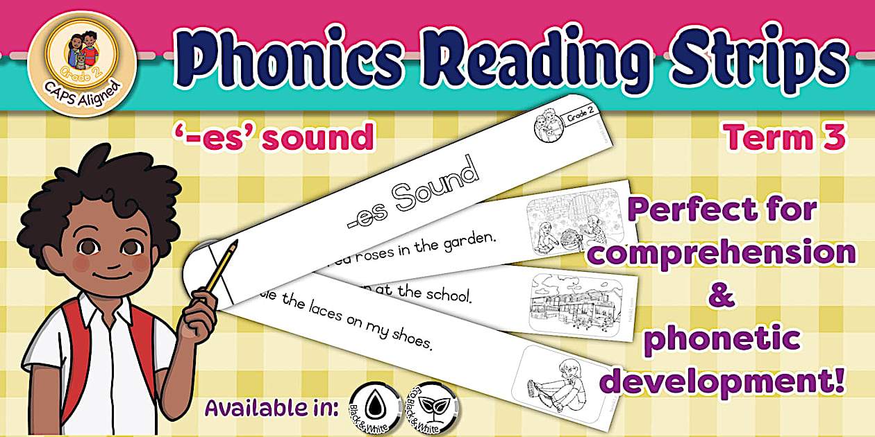 Gr 2 Phonics - T3 - Reading Strips - -es Sound (CAPS)