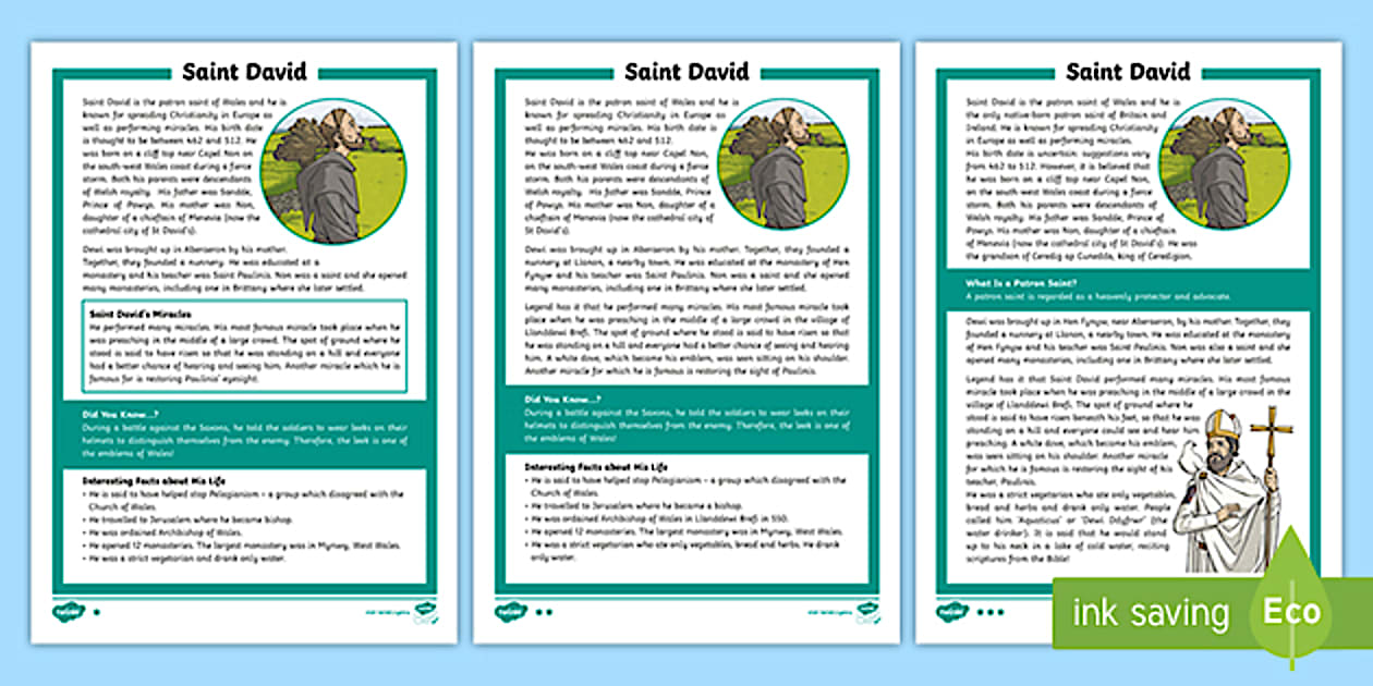 St. David's Year 5 and 6 Differentiated Reading Comprehension Activity