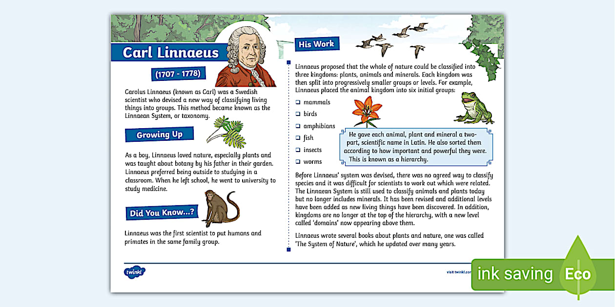 Carl Linnaeus Fact File (teacher made) - Twinkl