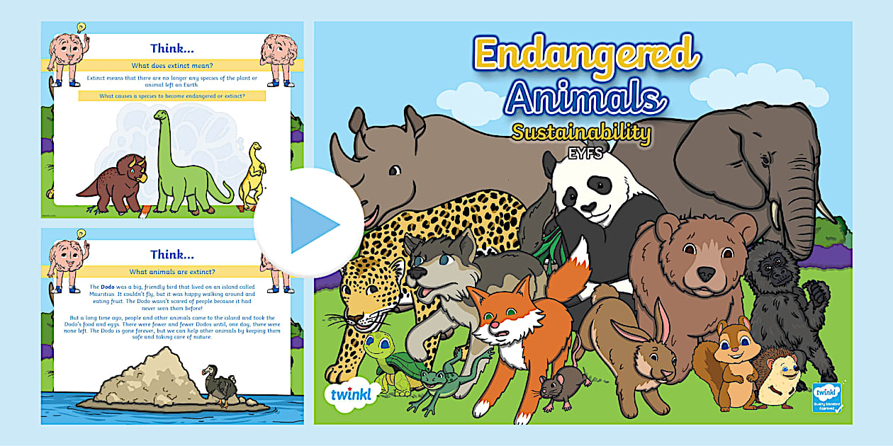 Sustainability Endangered Animals PowerPoint (teacher made)
