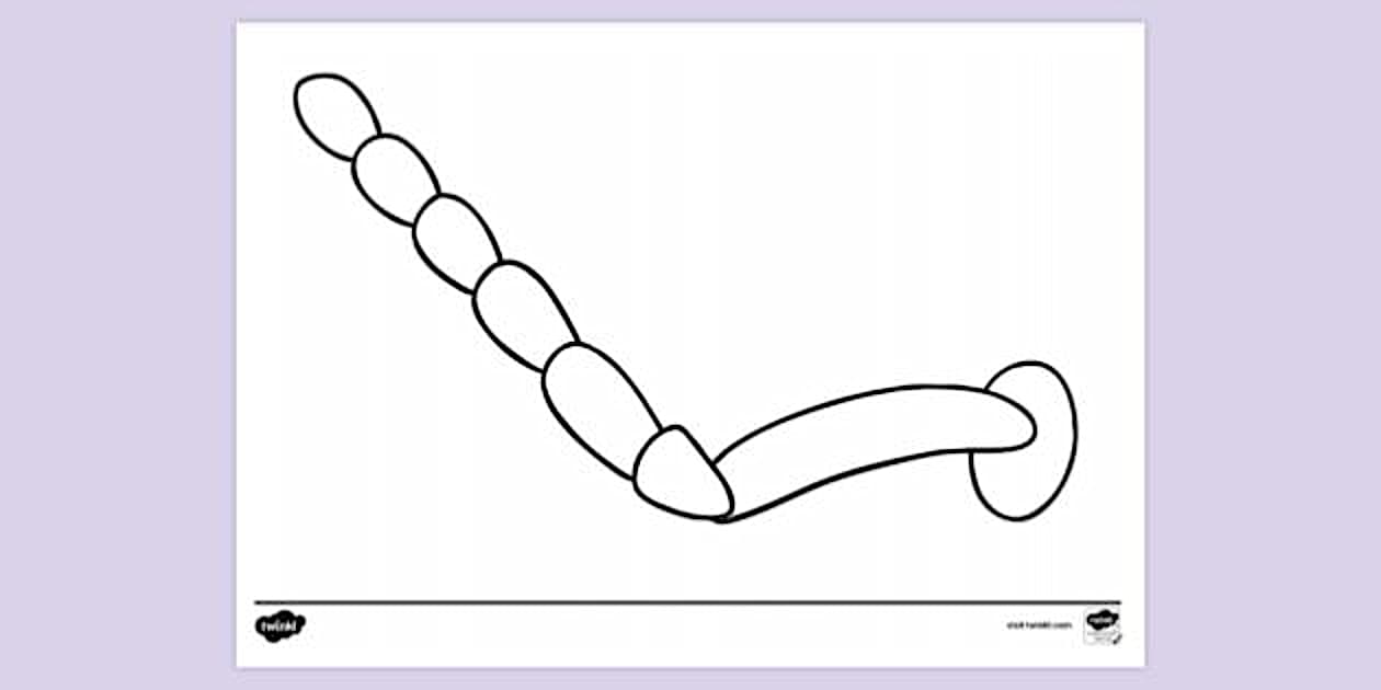 Bug Antenna 4 Colouring | Colouring Sheets - Twinkl