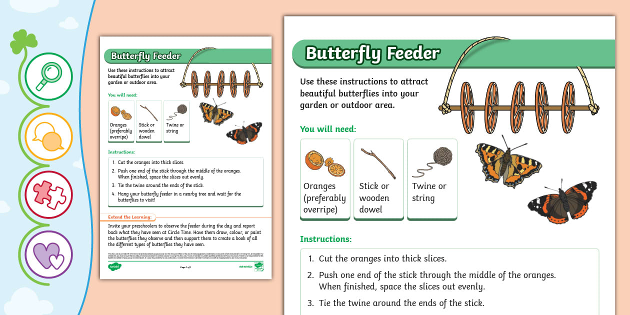 Butterfly Feeder (teacher made) - Twinkl