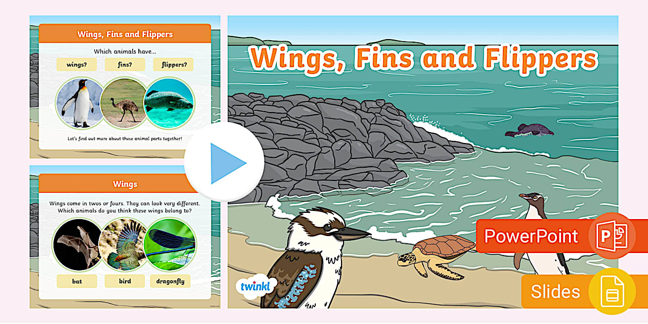 Wings, Fins and Flippers PowerPoint (teacher made) - Twinkl