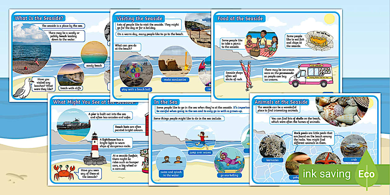 EYFS All About the Seaside Fact Files | Twinkl - Twinkl