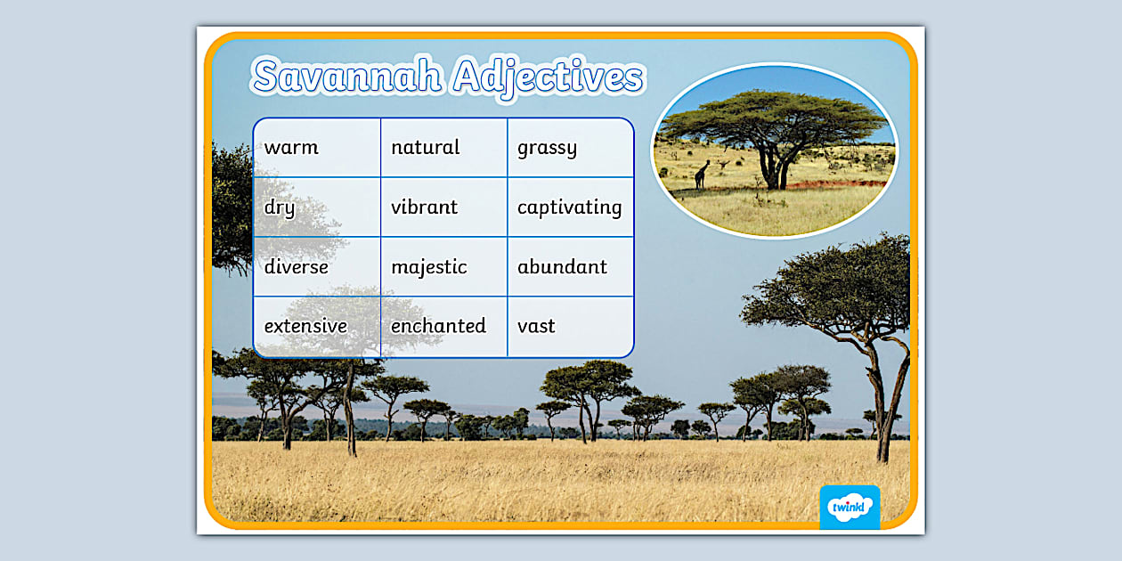 Savannah Adjectives Photo Display Poster (Teacher-Made)