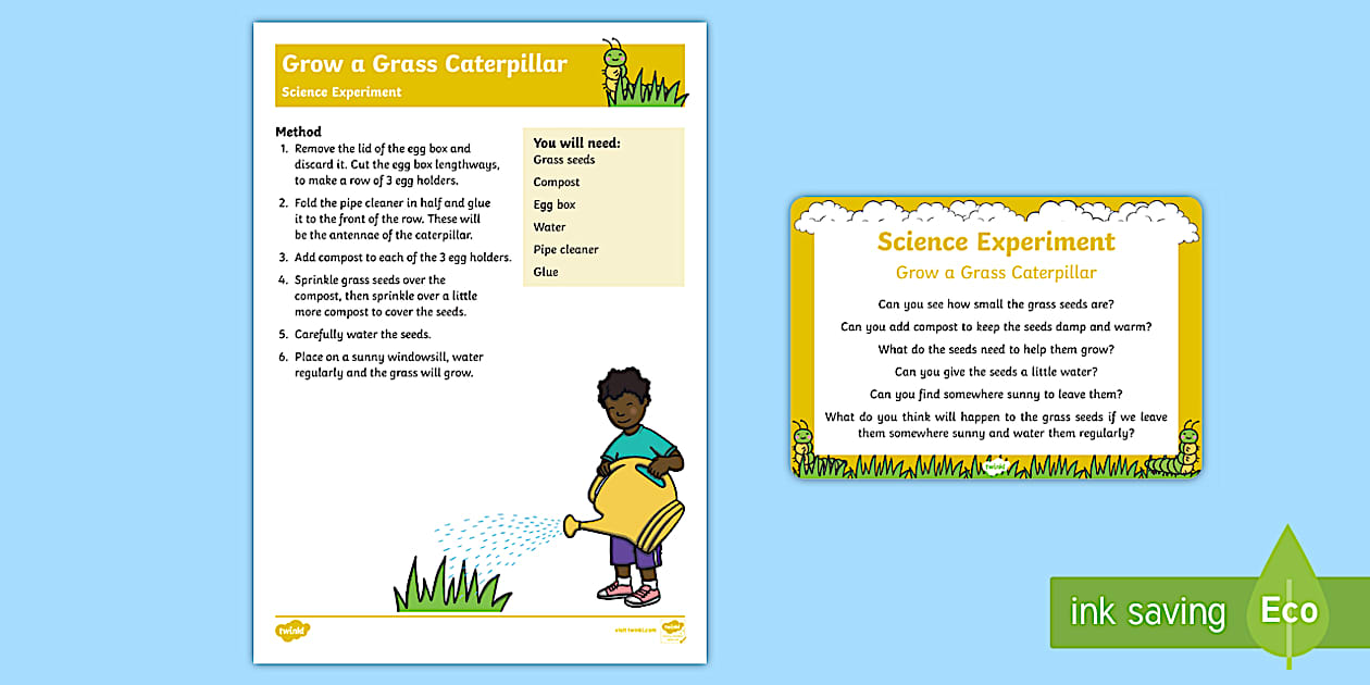 EYFS Grow a Grass Caterpillar Science Experiment and Prompt Card Pack