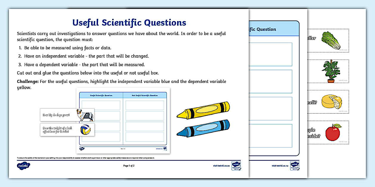 Useful Scientific Questions (teacher made) - Twinkl