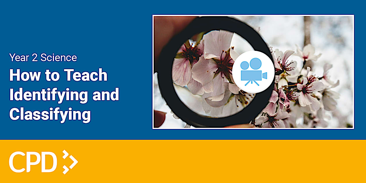 How to Teach Identifying and Classifying Video CPD | Year 2