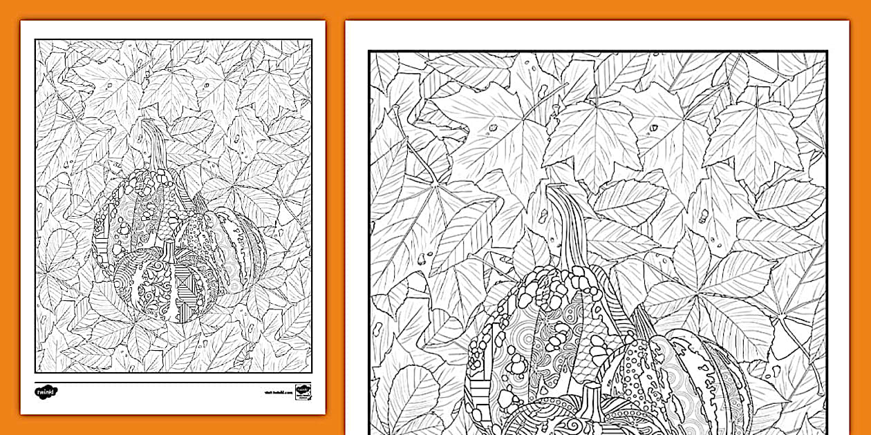 Fall Gourds Mindfulness Coloring Sheet (teacher made)