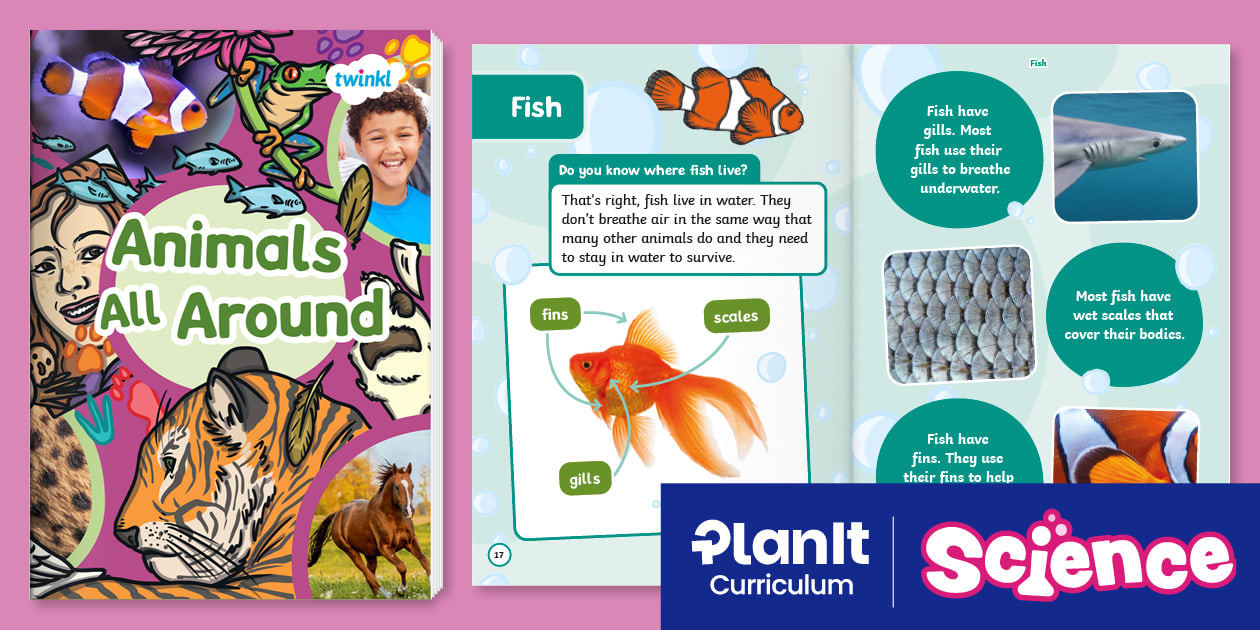 Animals Including Humans: Y1 Animals All Around eBook