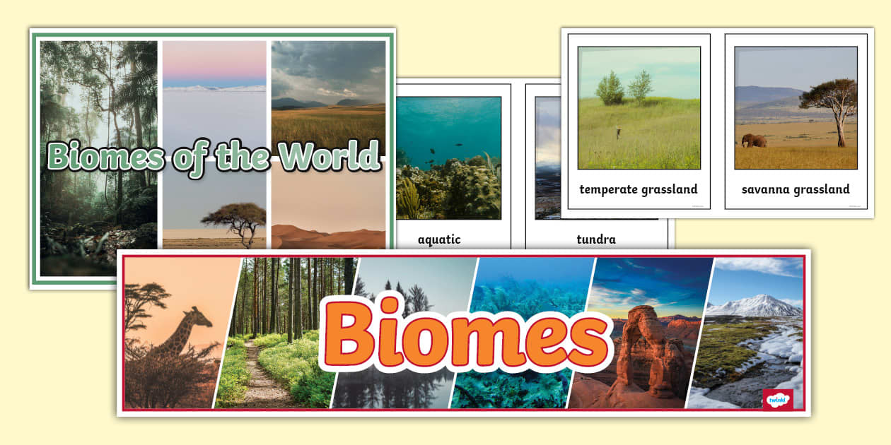 Biomes Display Pack (l'enseignant a fait) - Twinkl