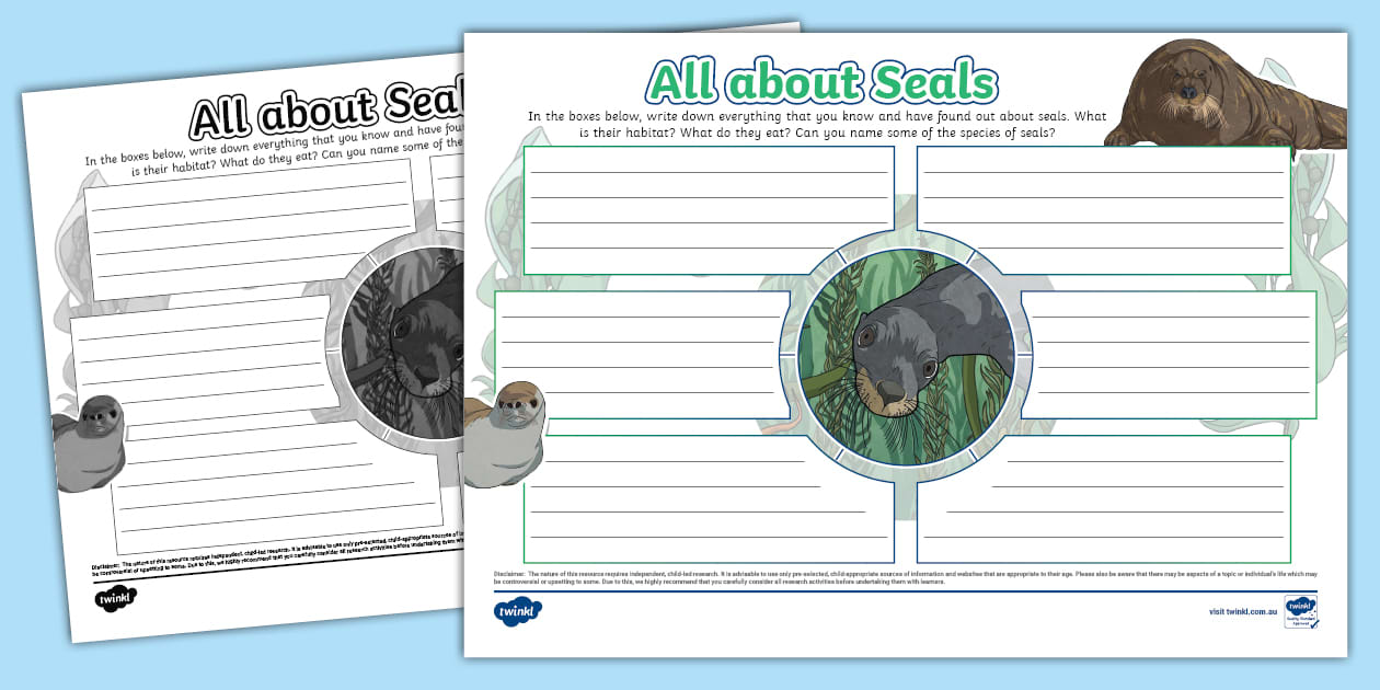 All About Seals Mind Map (teacher made) - Twinkl