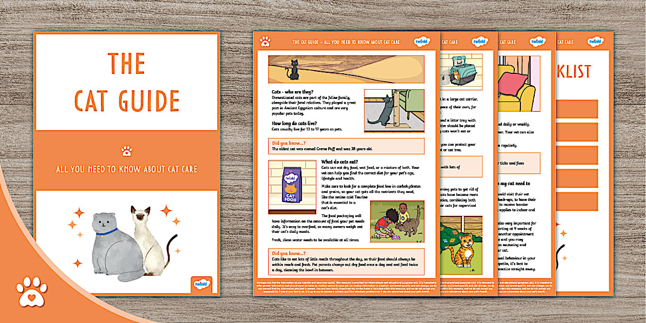 The Ultimate Cat Handbook - Pet Care Guide - Twinkl Pets