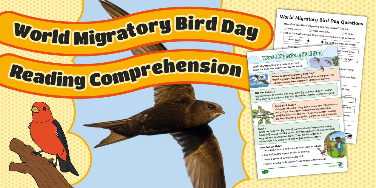 KS1 World Migratory Bird Day Reading Comprehension