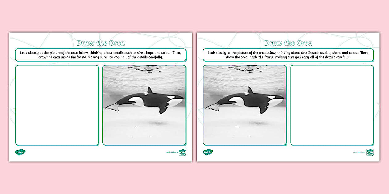 Draw the Orca Worksheet (teacher made) - Twinkl