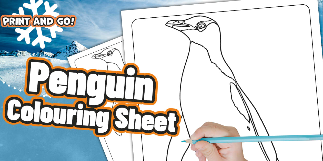 Penguin Colouring Sheet