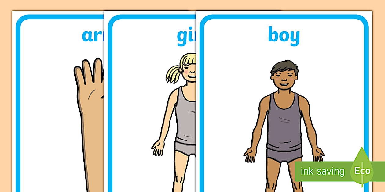 Parts of the Body Display Posters (teacher made) - Twinkl