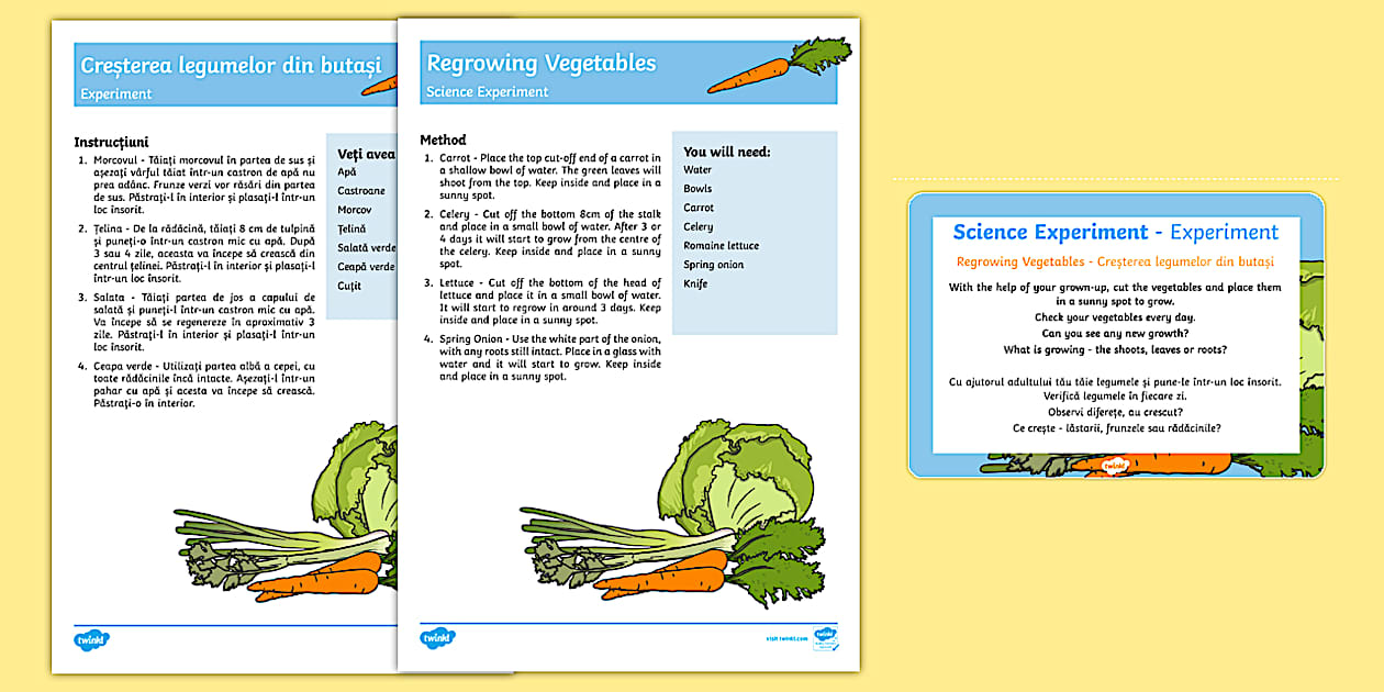 Kindergarten Regrowing Vegetables Science Experiment and Prompt Cards