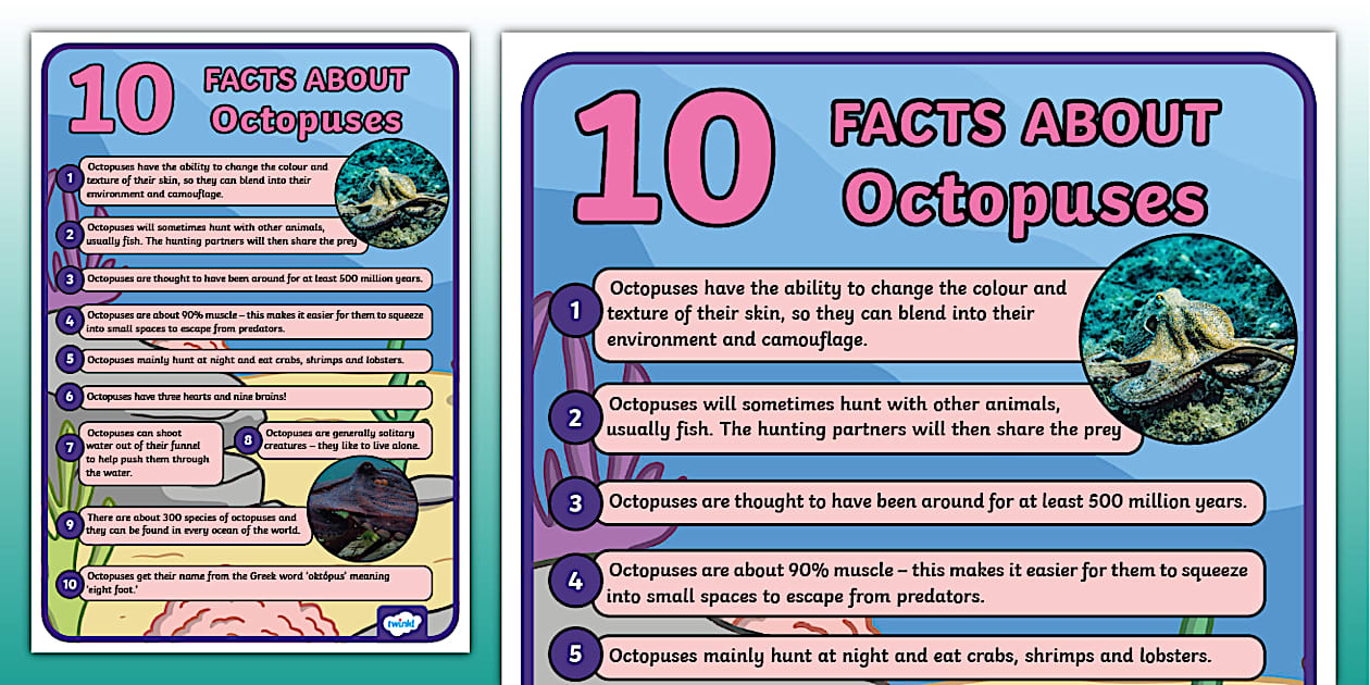 10 Facts About Octopuses Display Poster (teacher made)