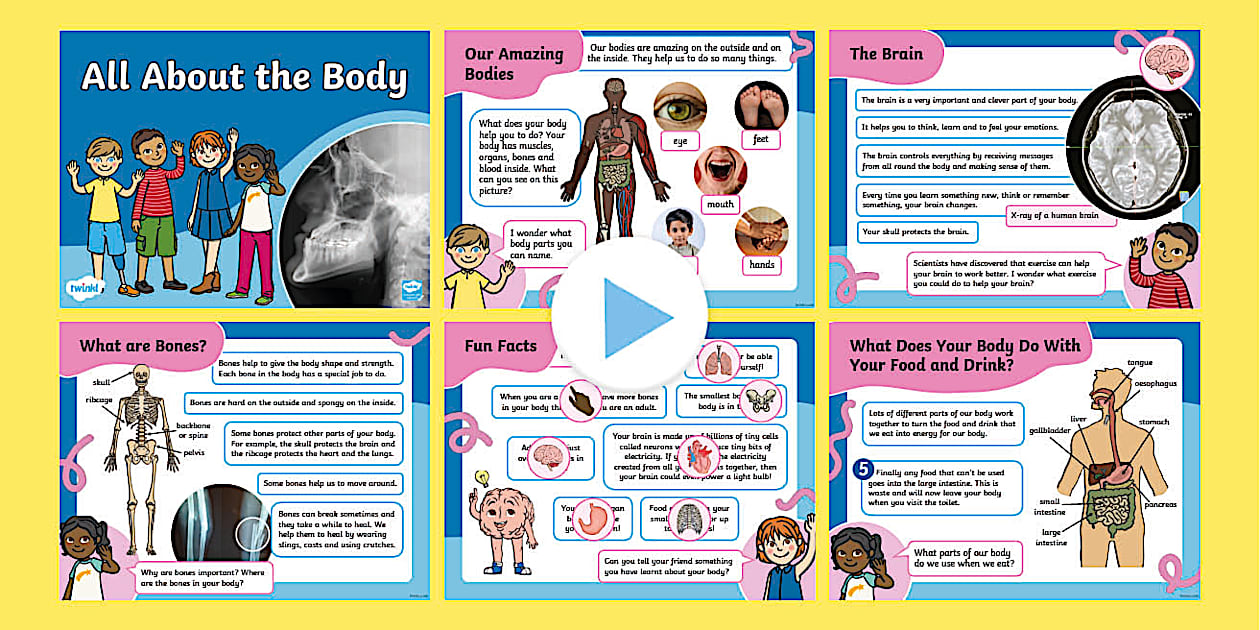 All About the Body PowerPoint | Twinkl (Teacher-Made)