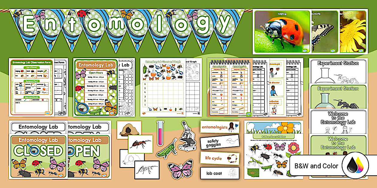 Entomology Lab Dramatic Play Pack (teacher made) - Twinkl