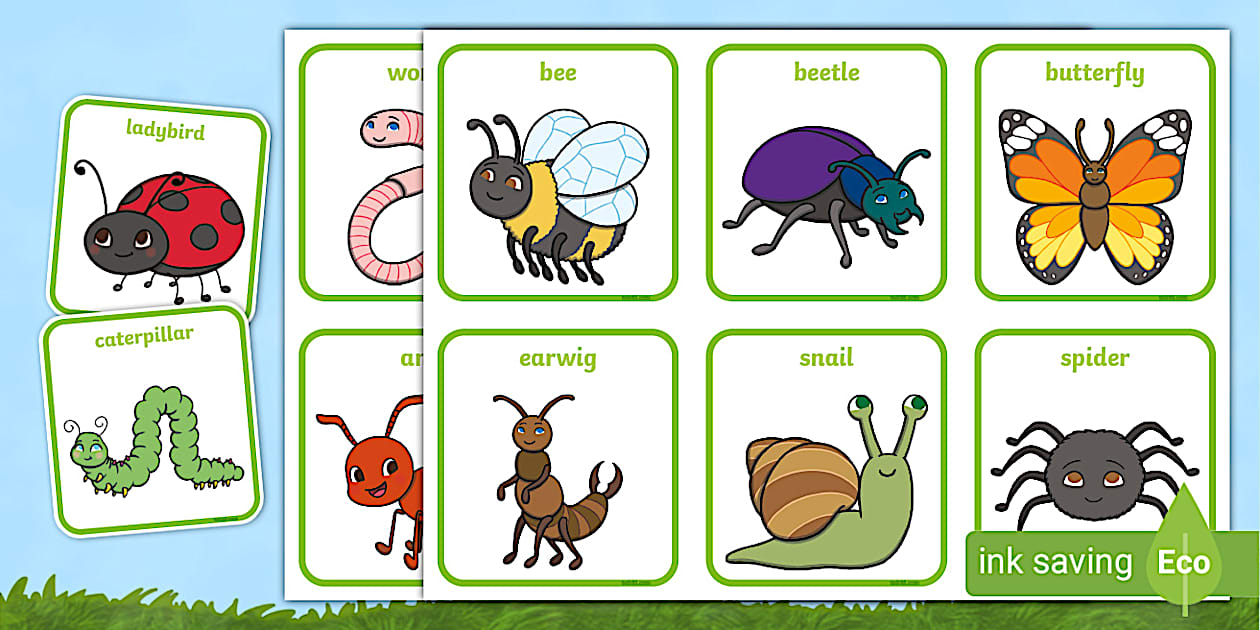 Cute Minibeast Picture Cards (Teacher-Made) - Twinkl