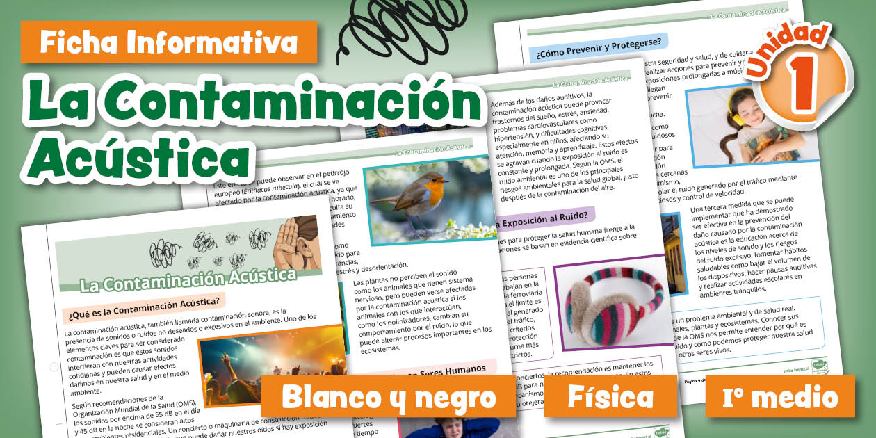 Ficha Informativa | Contaminación Acústica | Física | I°