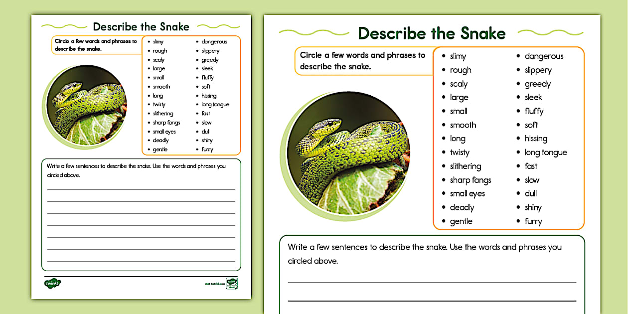 Describe the Snake Worksheet (Hecho por educadores) - Twinkl