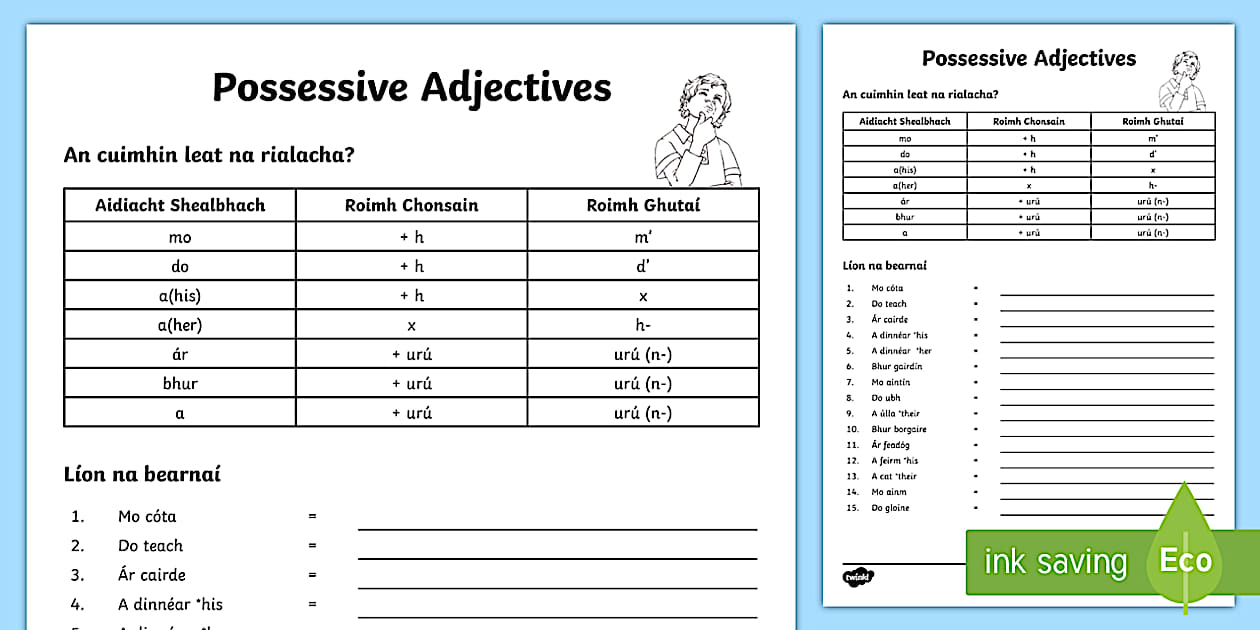 Possessive Adjectives in Irish | Acmhainní Gaeilge