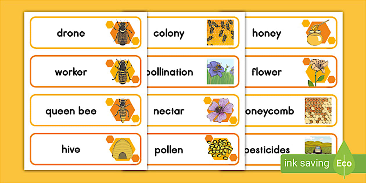 Bee Words Flashcards - Grade 1-3 - Twinkl Canada - Twinkl
