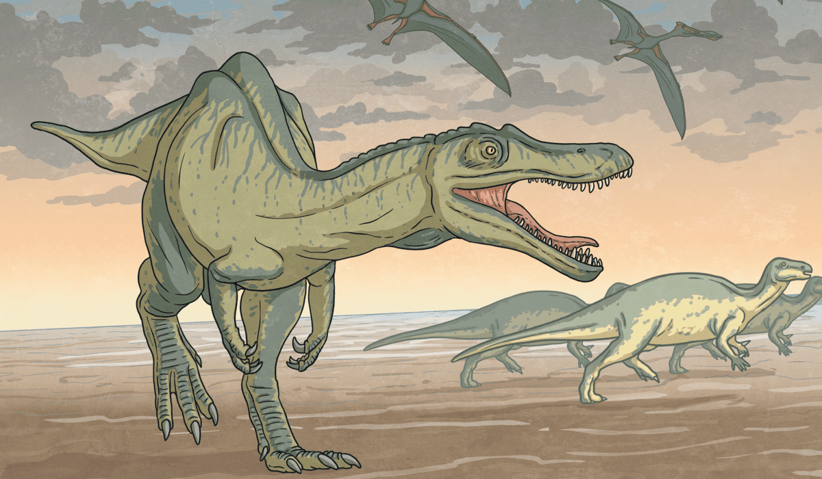 how to draw a meat eater dinosaur