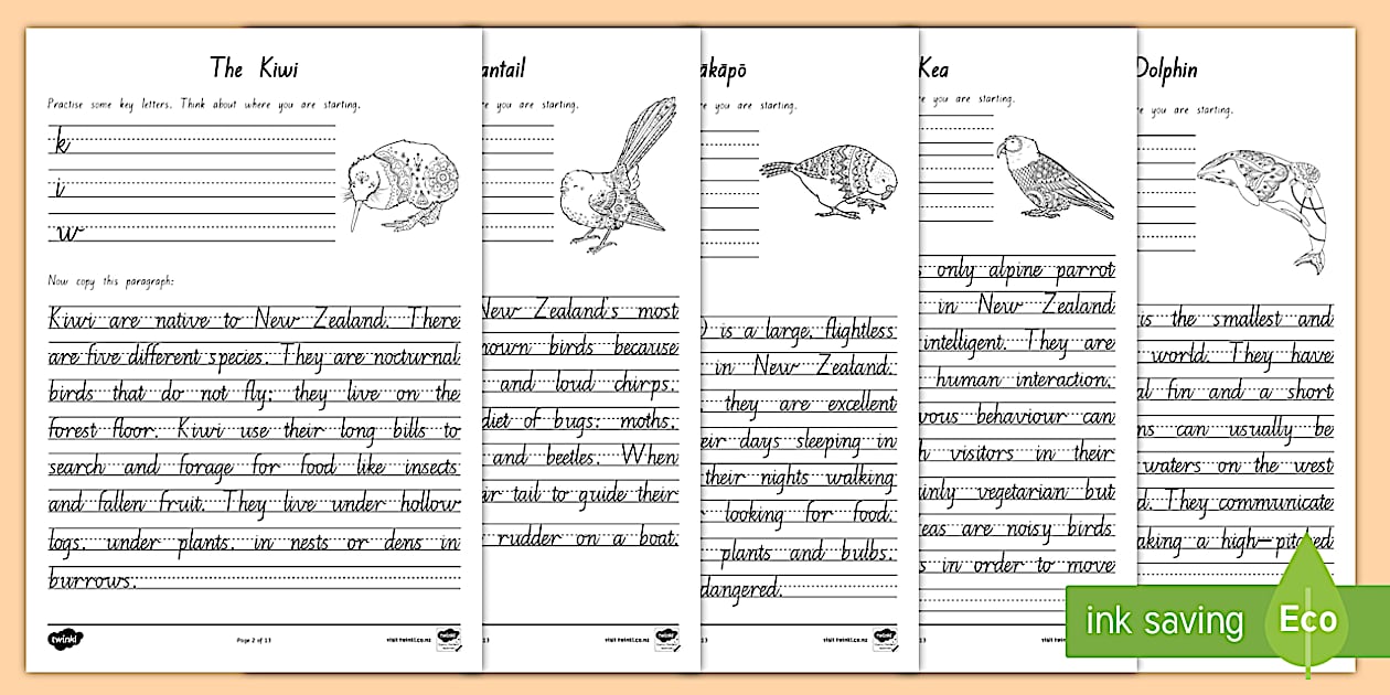 Cursive New Zealand Native Animals Handwriting and Mindfulness Colouring