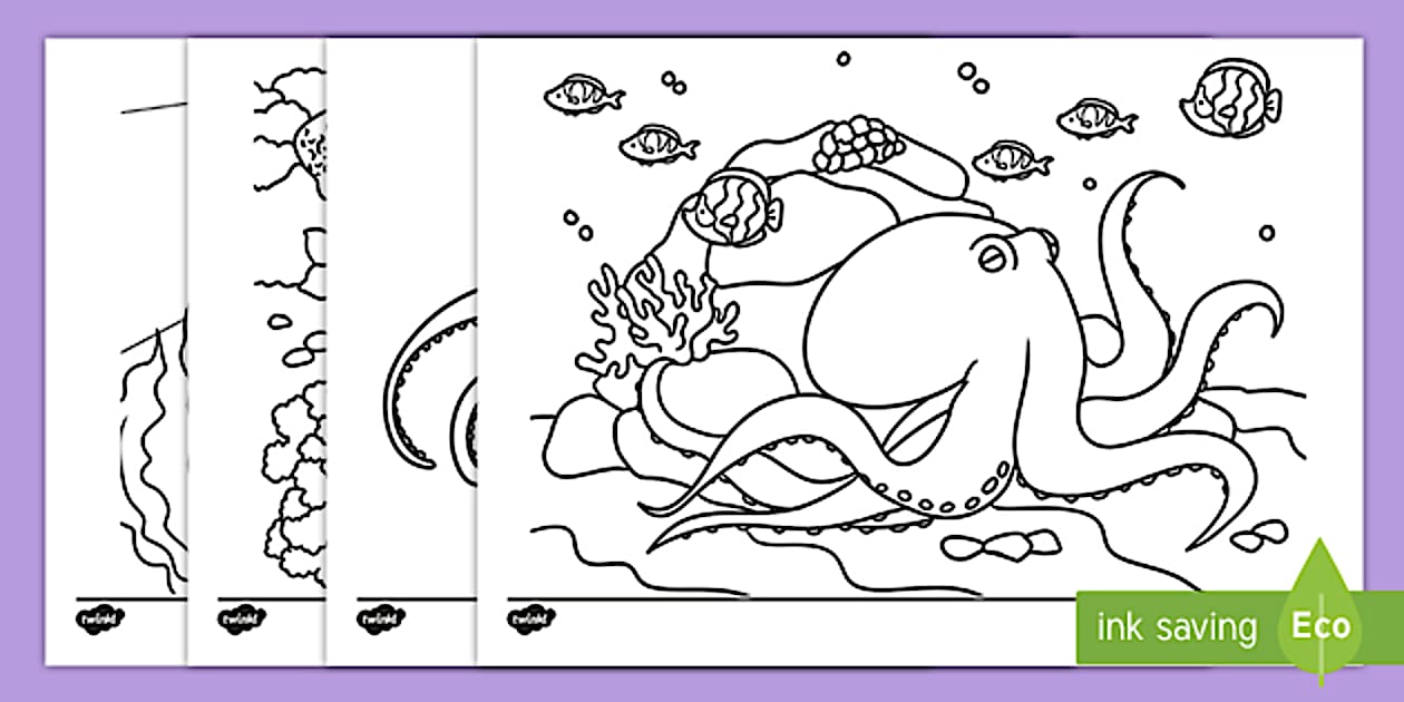Octopus Colouring Pages (teacher made) - Twinkl