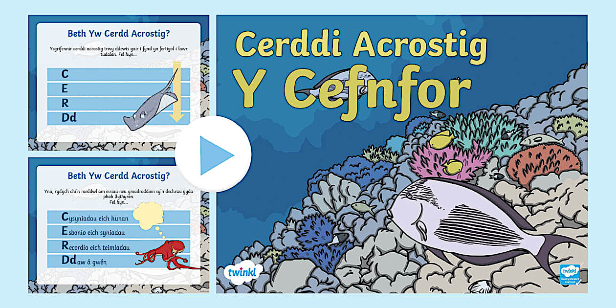 Cerddi Acrostig: Y Cefnfor (teacher made) - Twinkl
