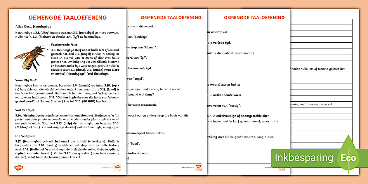 Gemengde Taaloefening | Senior Fase | Graad 9 | Twinkl ZA