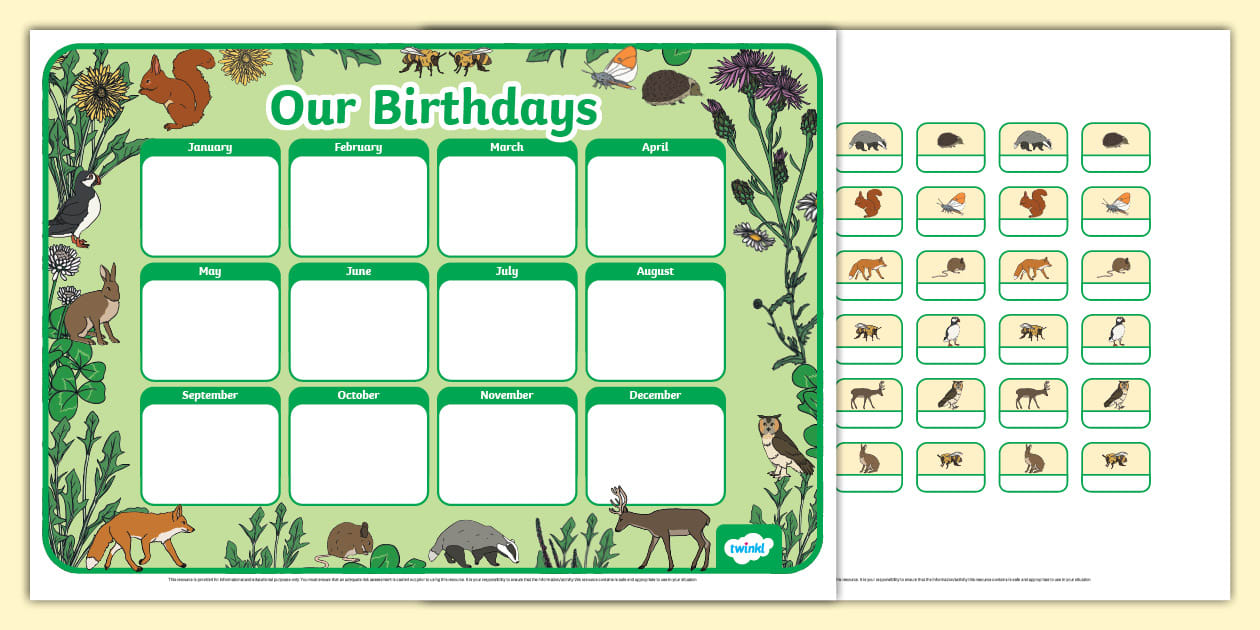 Ireland Flora and Fauna Themed Birthday Display - Twinkl