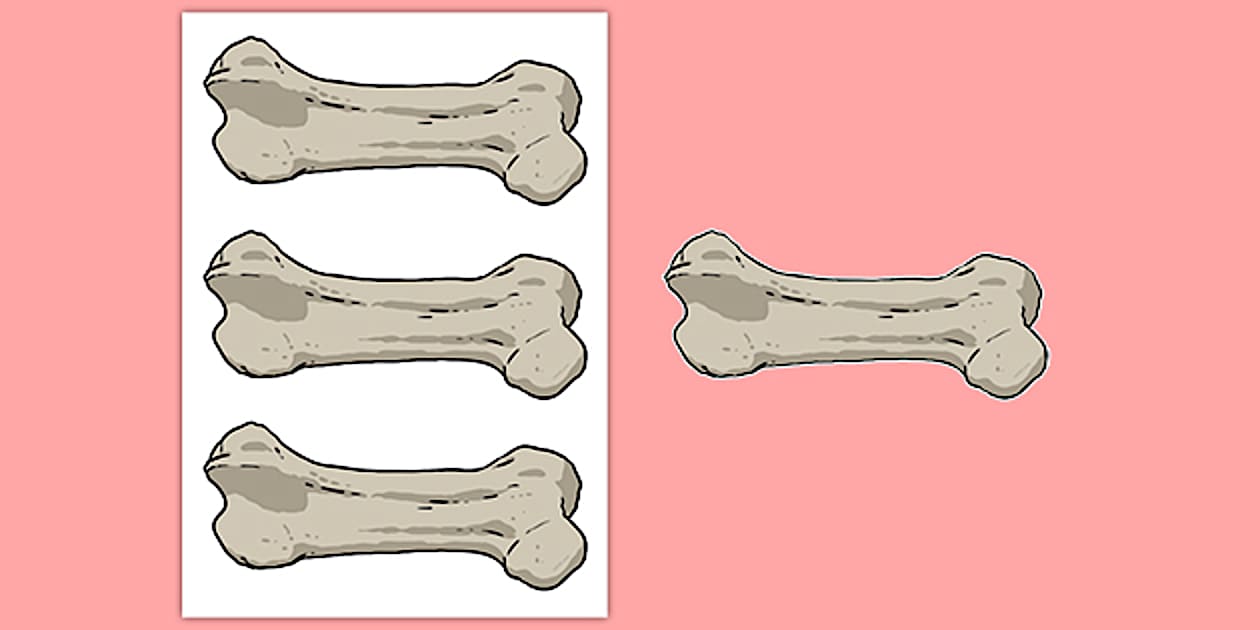 👉 Editable Bones (teacher made) - Twinkl