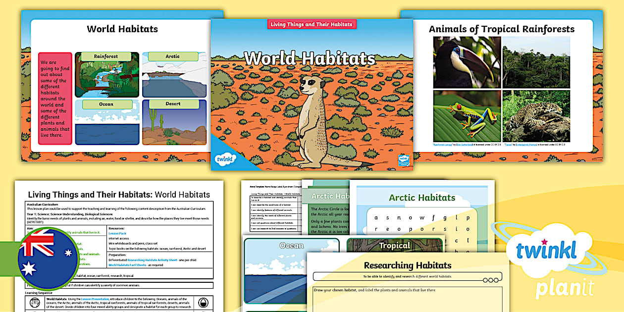 Year 1 Science Living Things and Their Habitats Lesson 4