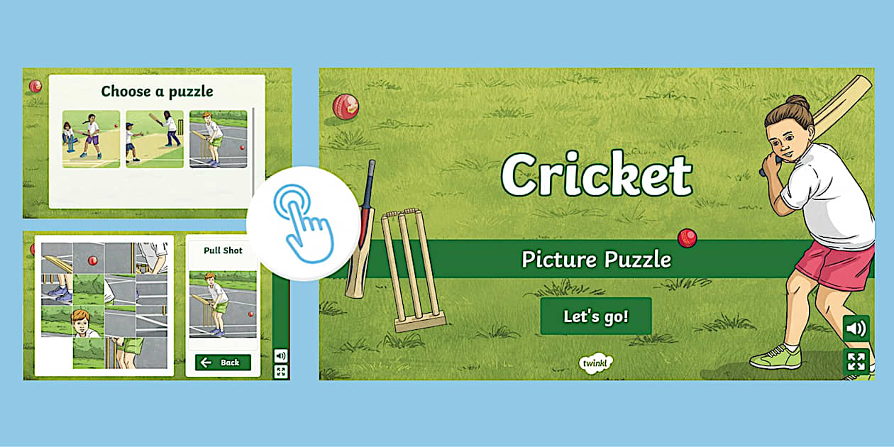 Cricket Picture Slider Puzzle - Fun Kids Online Activity
