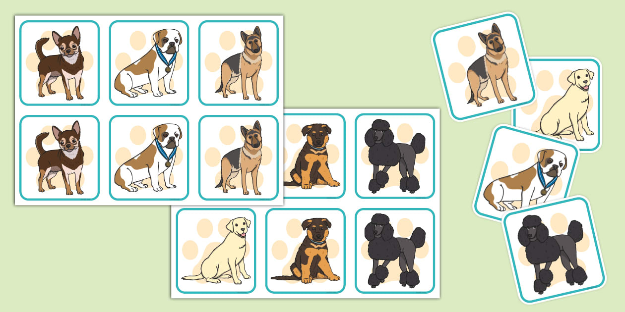 Dogs Snap Game - Twinkl EYFS / Primary Games