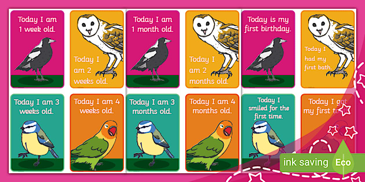 My First Year Milestone Pack - Birds
