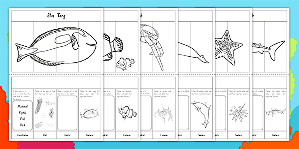 Under the Sea Flap Book Pack (teacher made) - Twinkl