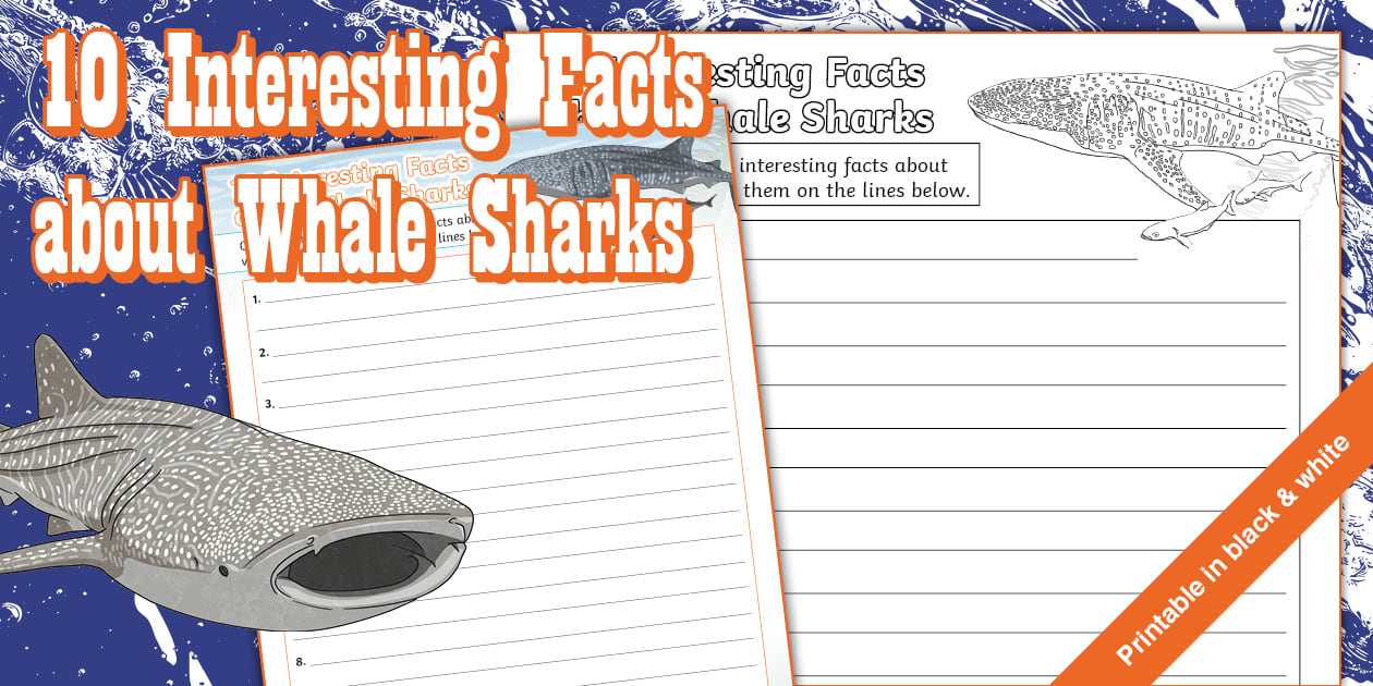 10 Interesting Facts about Whale Sharks