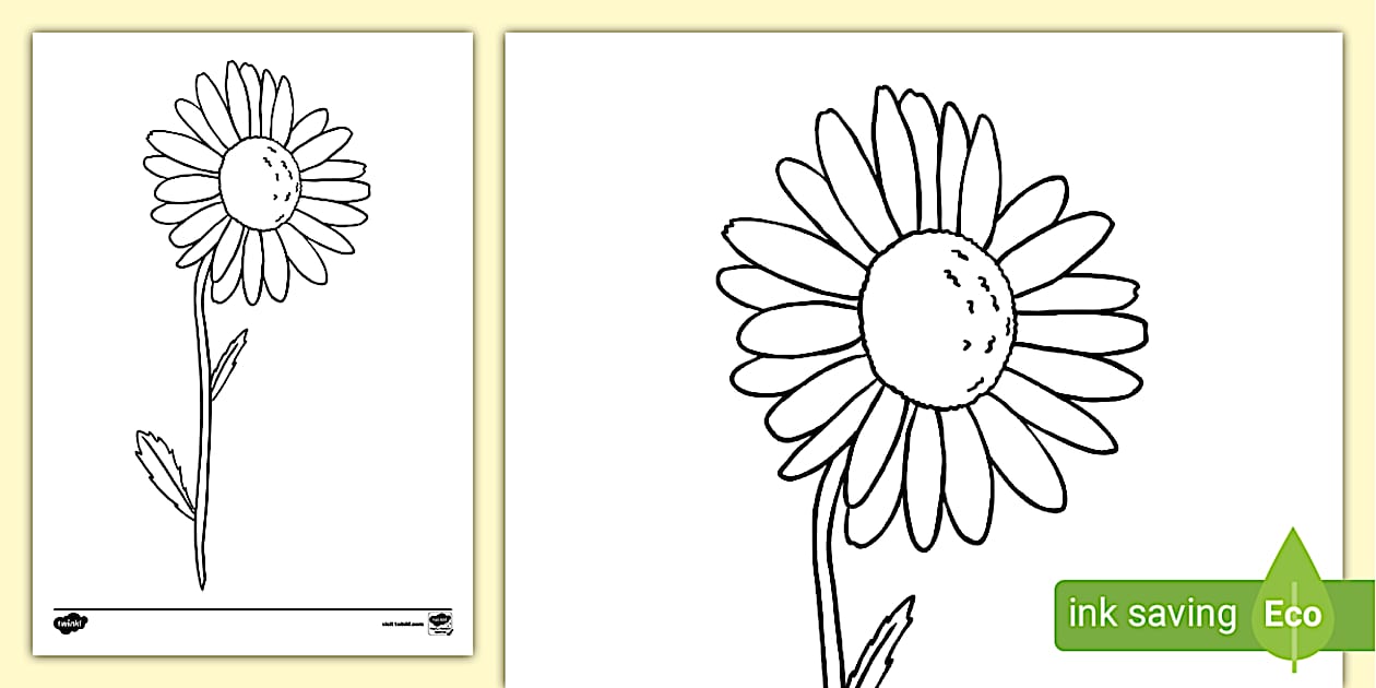 Daisy Template (teacher made) - Twinkl