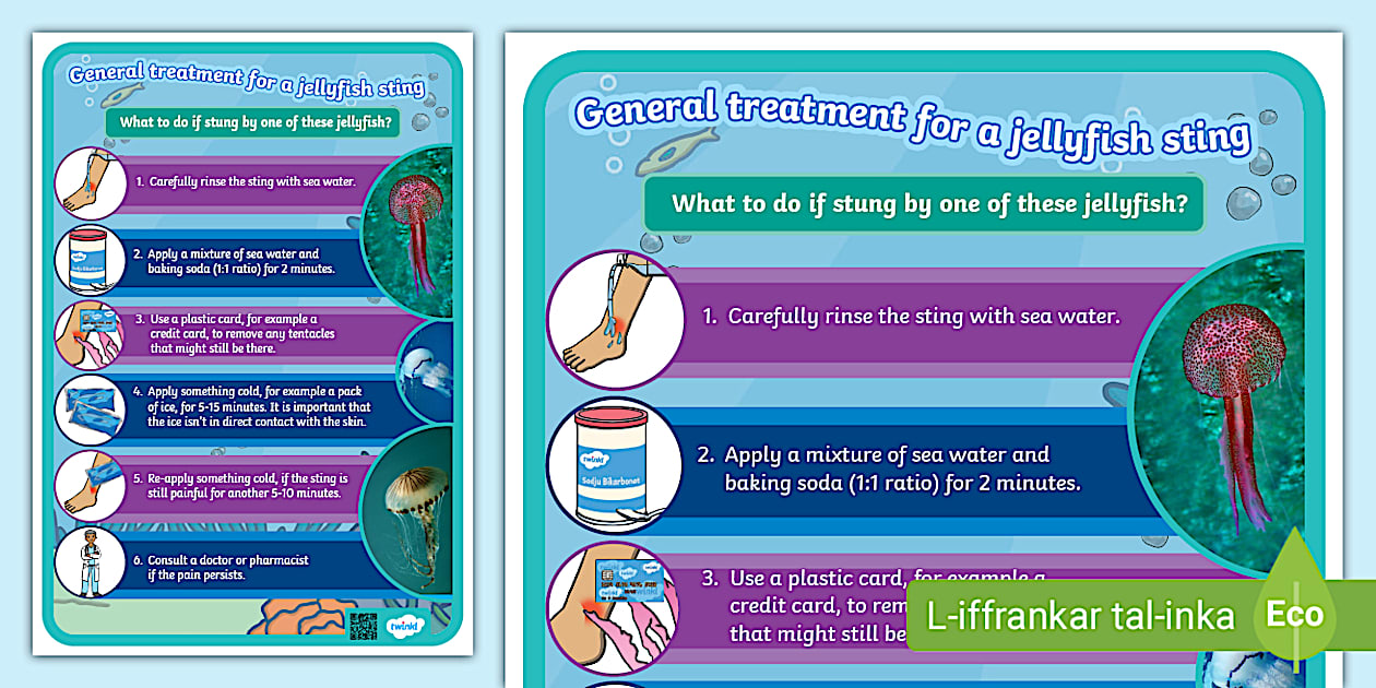 The General Treatment for a Jellyfish Sting Poster - Twinkl