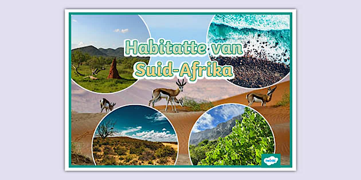 Habitatte van Suid-Afrika Plakkaat (teacher made) - Twinkl