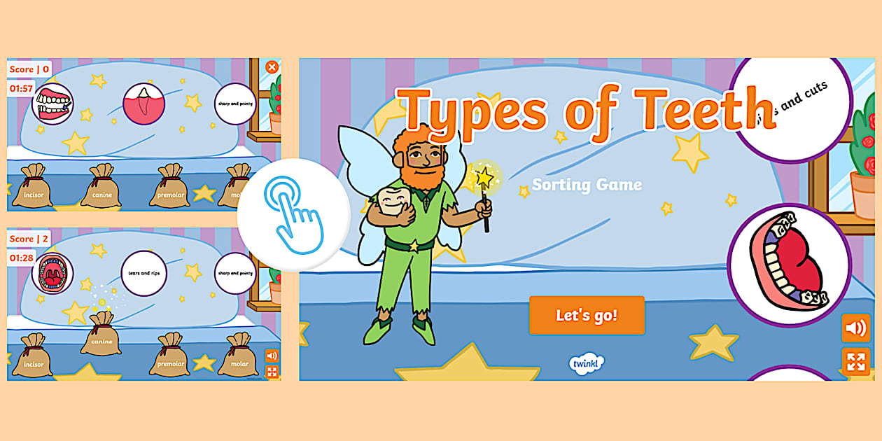 KS2 Types of Teeth Sorting Game - Animals including Humans