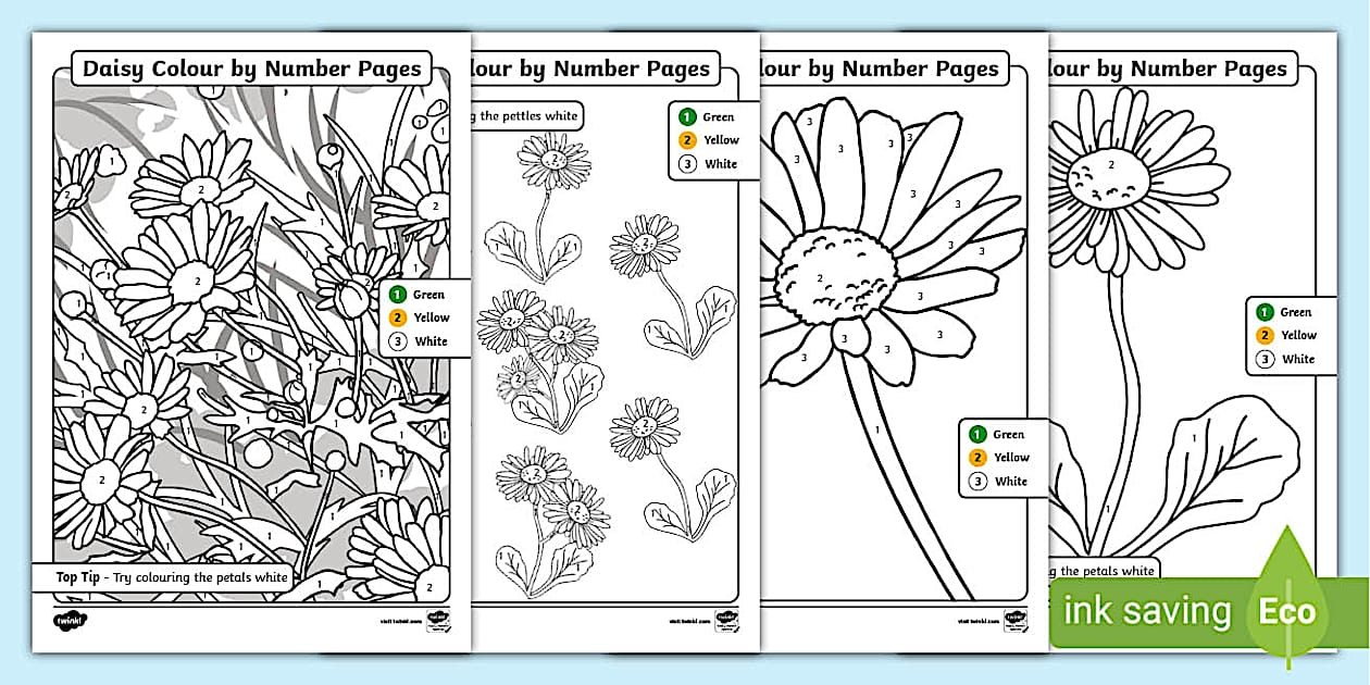 Daisy Colour by Number Pages (teacher made) - Twinkl