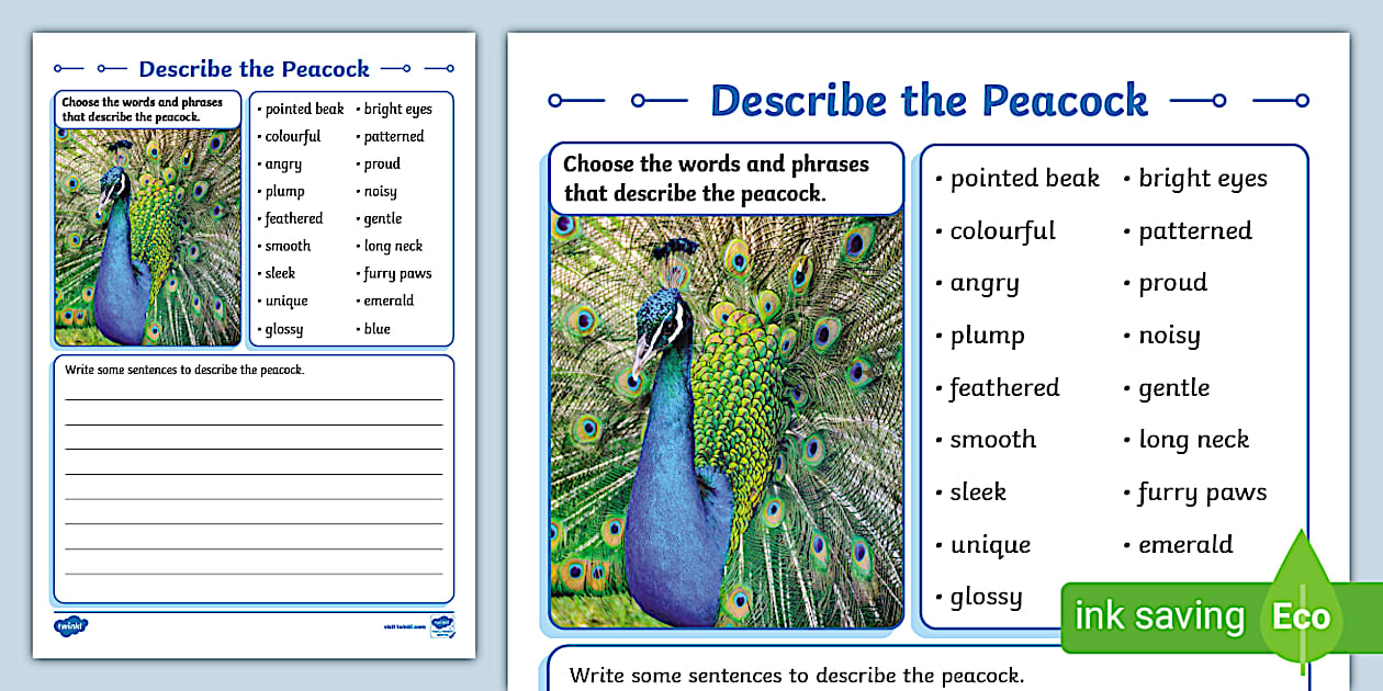 Describe the Peacock Writing Worksheet, peacocks - Twinkl
