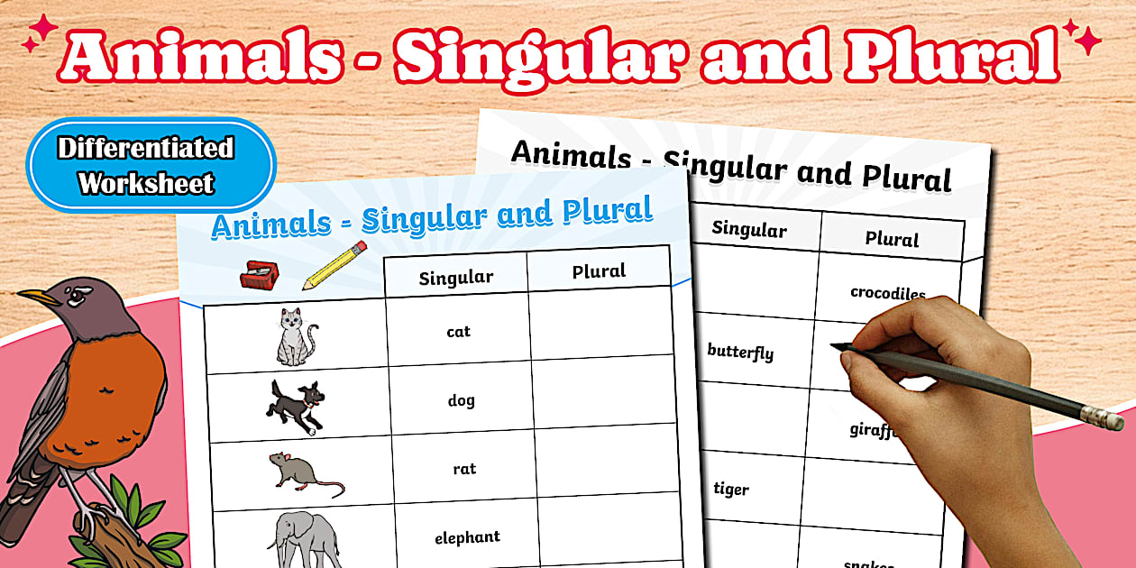 Animals - Singular and Plural